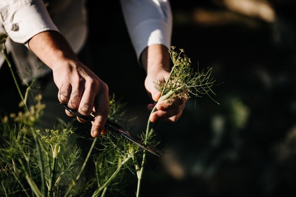 Beaumier Hotels - Special places, special moments