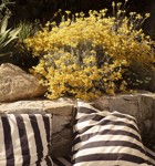 Hotel Les Roches Rouges | Beaumier Hotels & Resorts