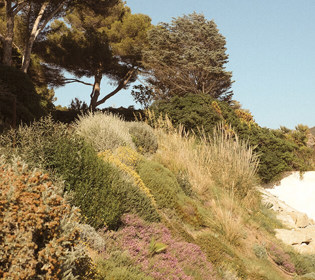 Beaumier | Properties | Les Roches Rouges Hotel | Character