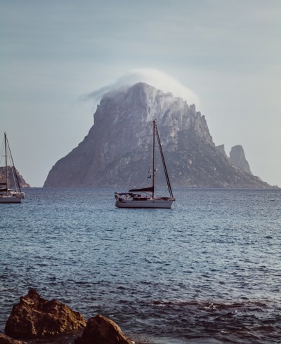 Petunia | Beaumier Hotels & Resorts